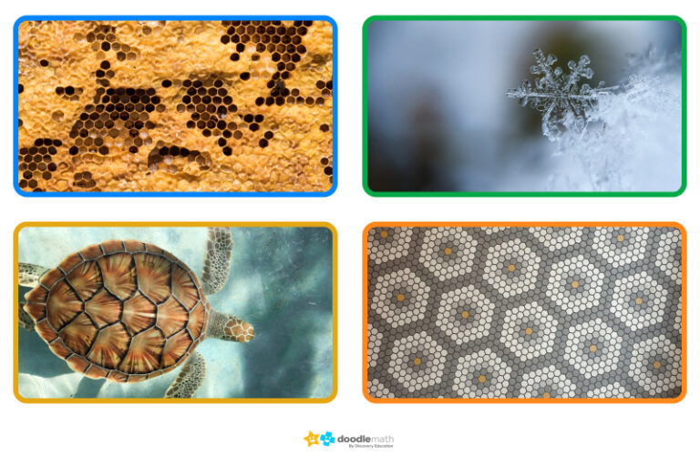 All About Hexagon Shapes - Definition, Examples, Formulas | DoodleLearning