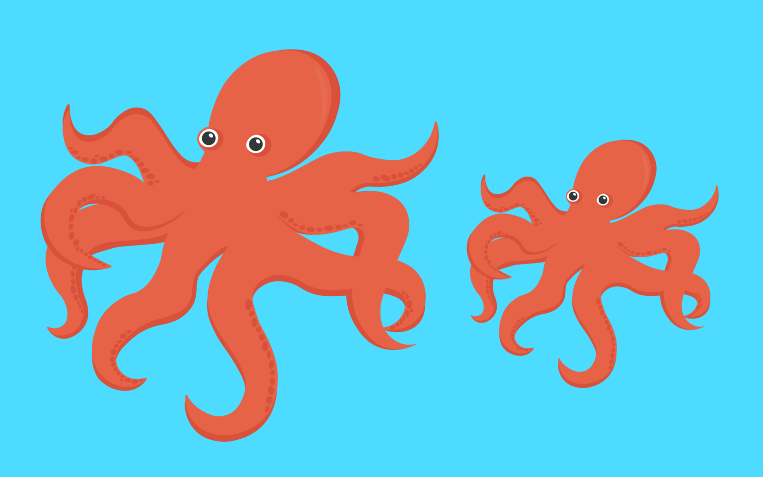 50 maths questions for year 1 student | DoodleLearning